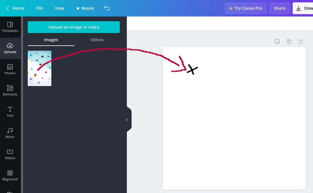 How to size and crop your photos with Canva – ShowWiz